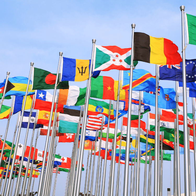 8E - Name Any World Flag Challenge | SuperKind