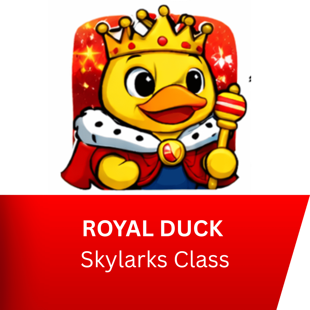 Skylarks Class Keep Hatch School's Great Virtual Duck Race | SuperKind